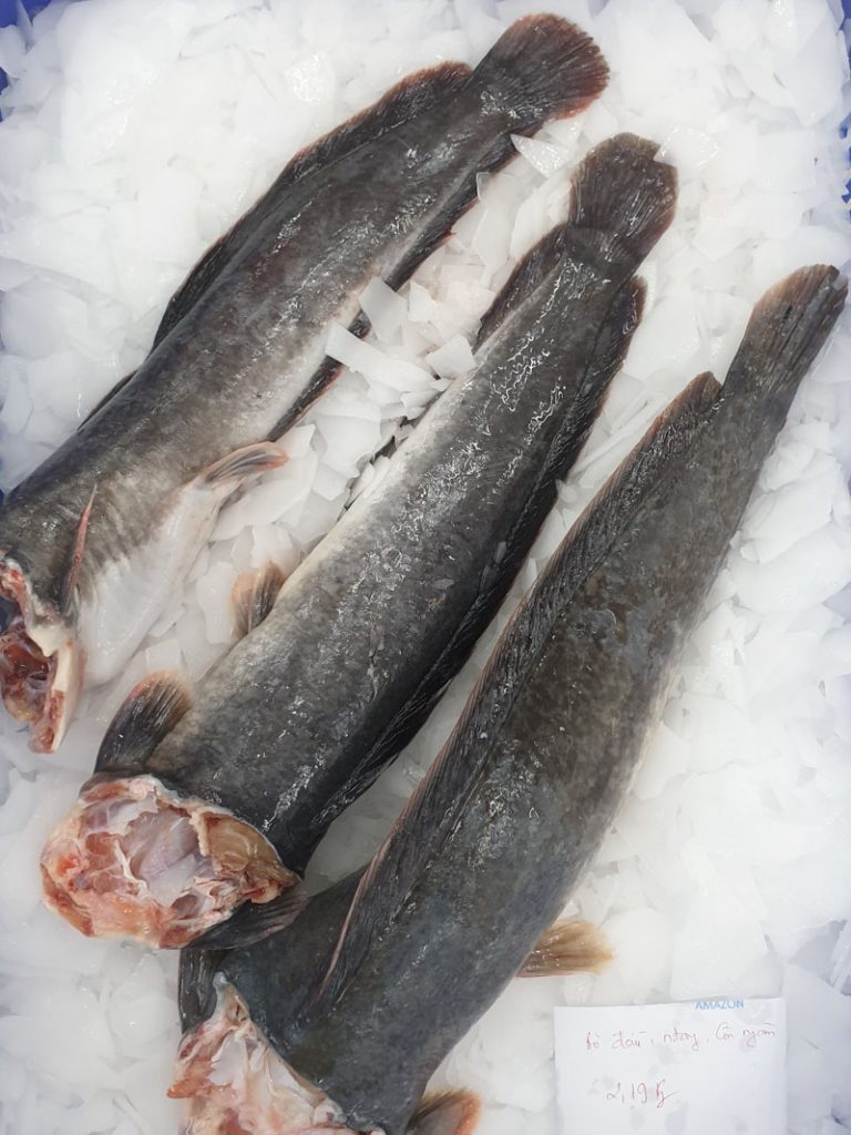 Broadhead – VietoceanSeafood