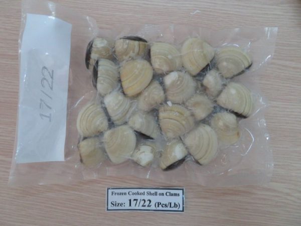 Clam Shell On – VietoceanSeafood