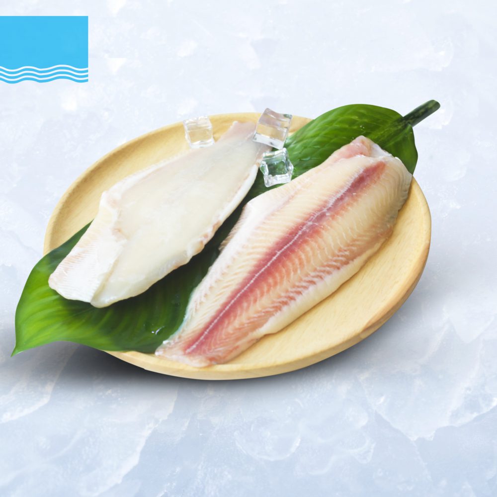 Pangasius – VietoceanSeafood