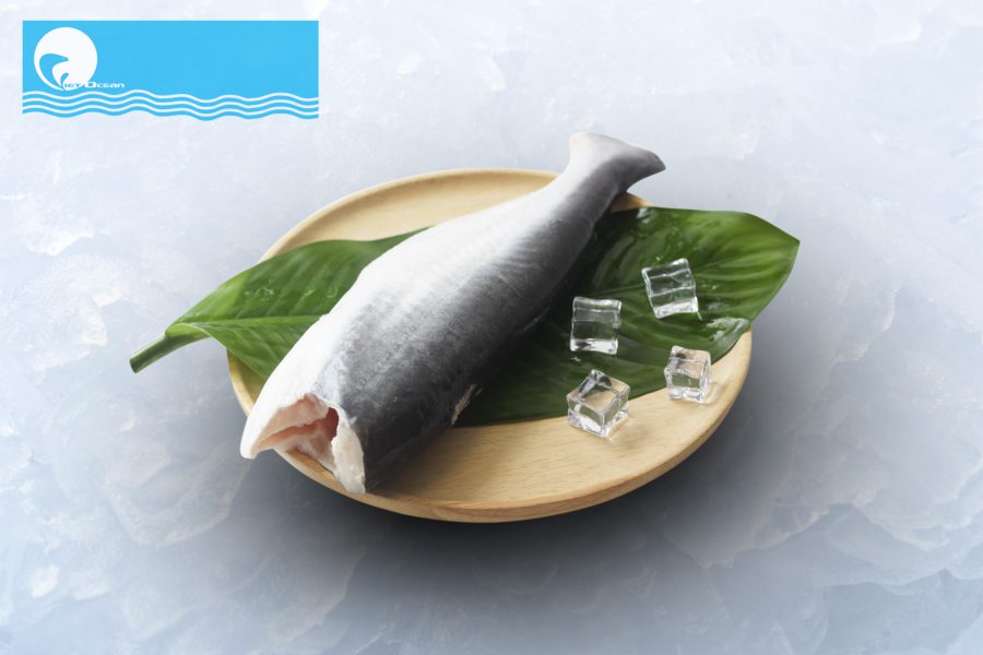 Pangasius HGT (Headless, Gutted, Tail off) – VietoceanSeafood