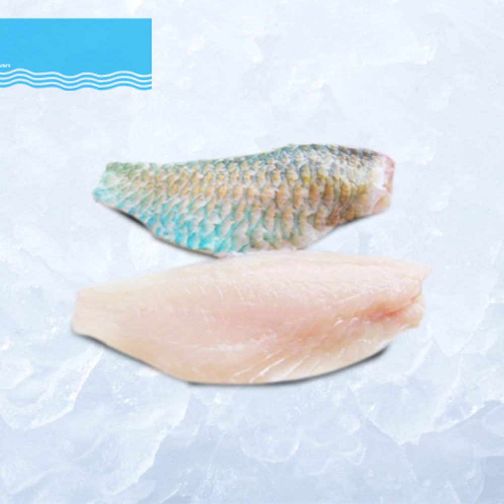 Frozen Parrotfish fillet skin on, boneless – VietoceanSeafood