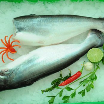 Pangasius Whole Round (Head on, Guted, Tail on) – VietoceanSeafood