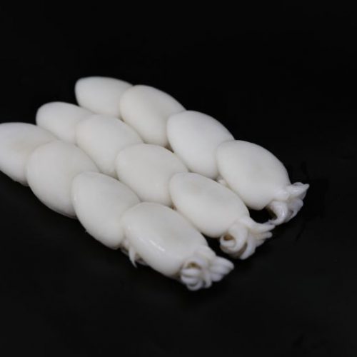 Frozen cuttlefish fillet – VietoceanSeafood